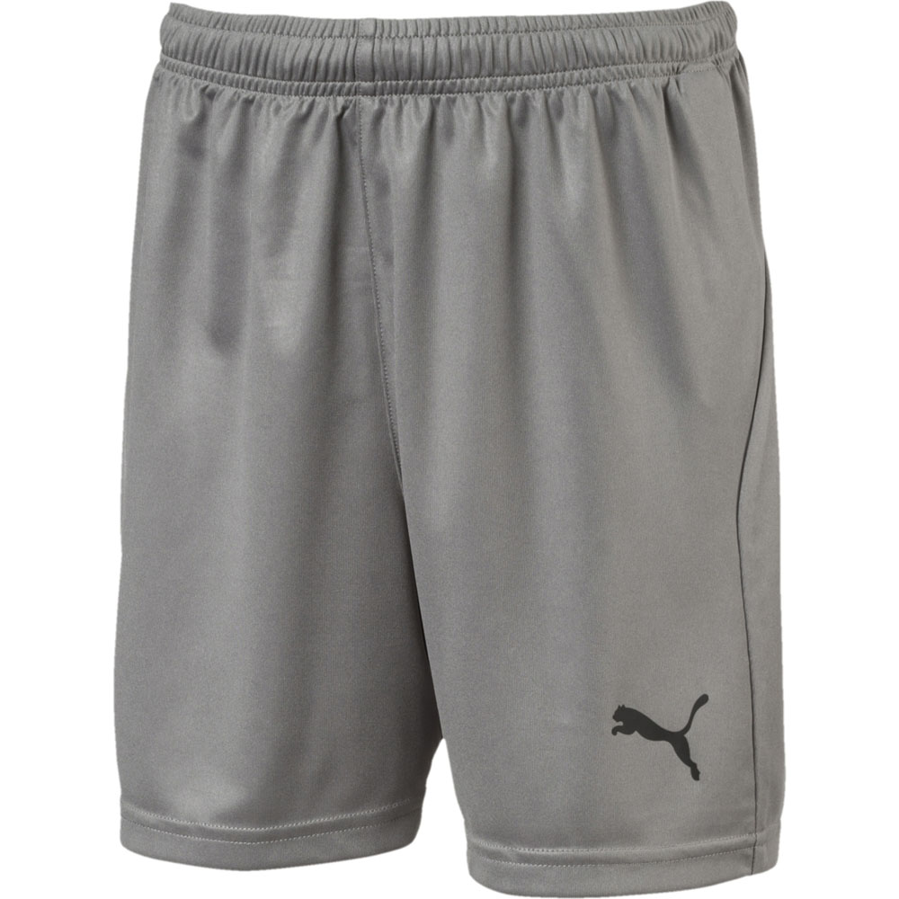 Puma Team Rise short | Soccer Center